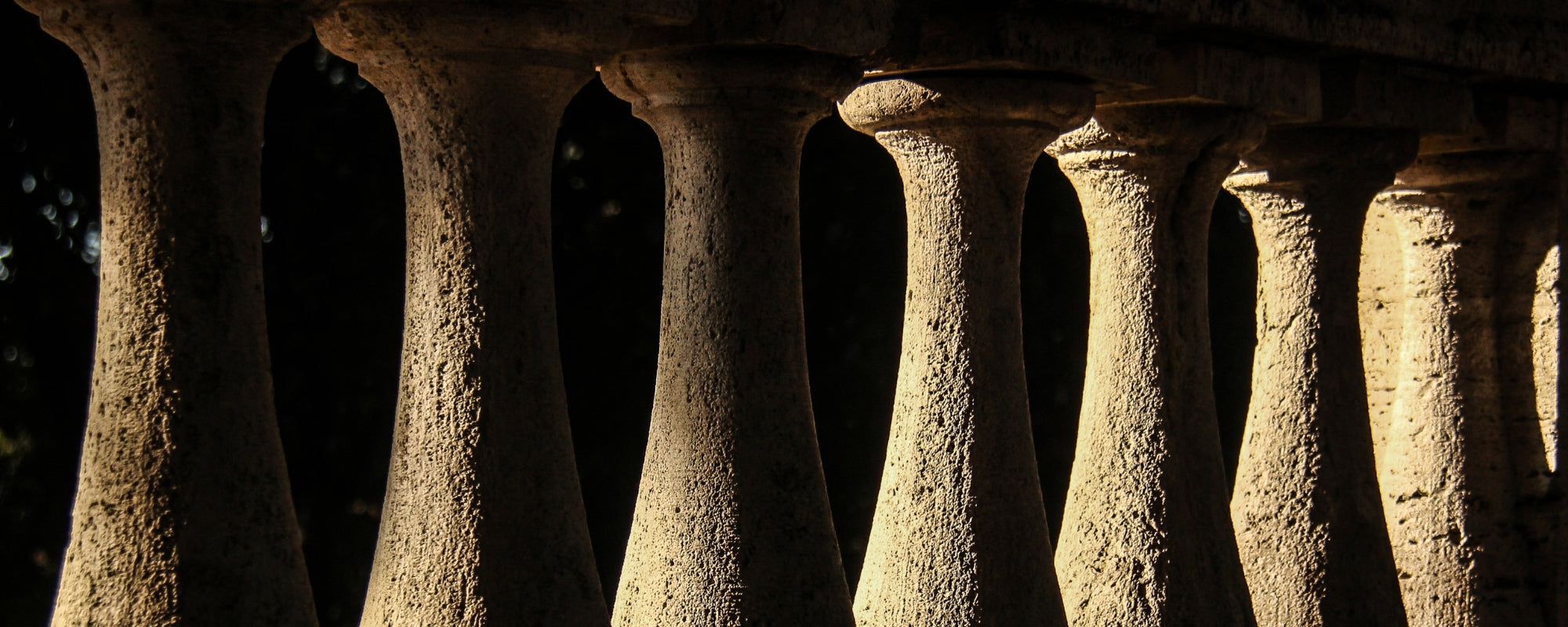 ¿Cómo hacer fotografía con técnica claroscuro? – Vanguard España